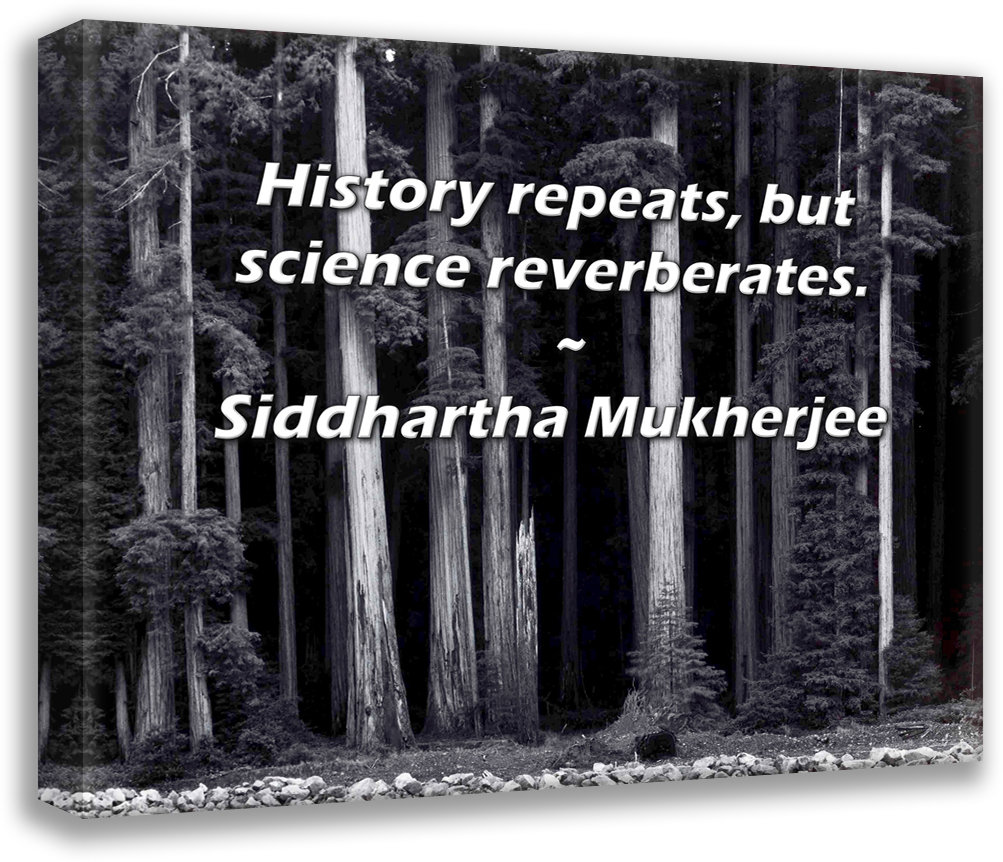 Astoria Grand Gallery Wrapped Canvas By Siddhartha Mukherjee: "History repeats, but science ...